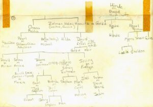 genealogy, entropy and a journey back in time - Stephen Cohen’s story ...