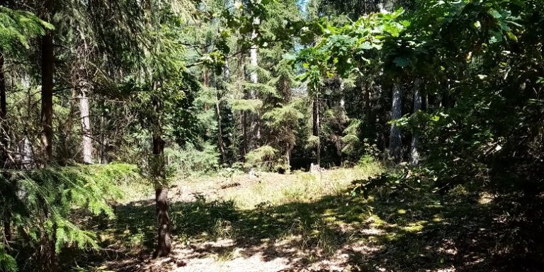 Embracing Extraordinary Stories of Hope and Resolve in the Shoah: the ...